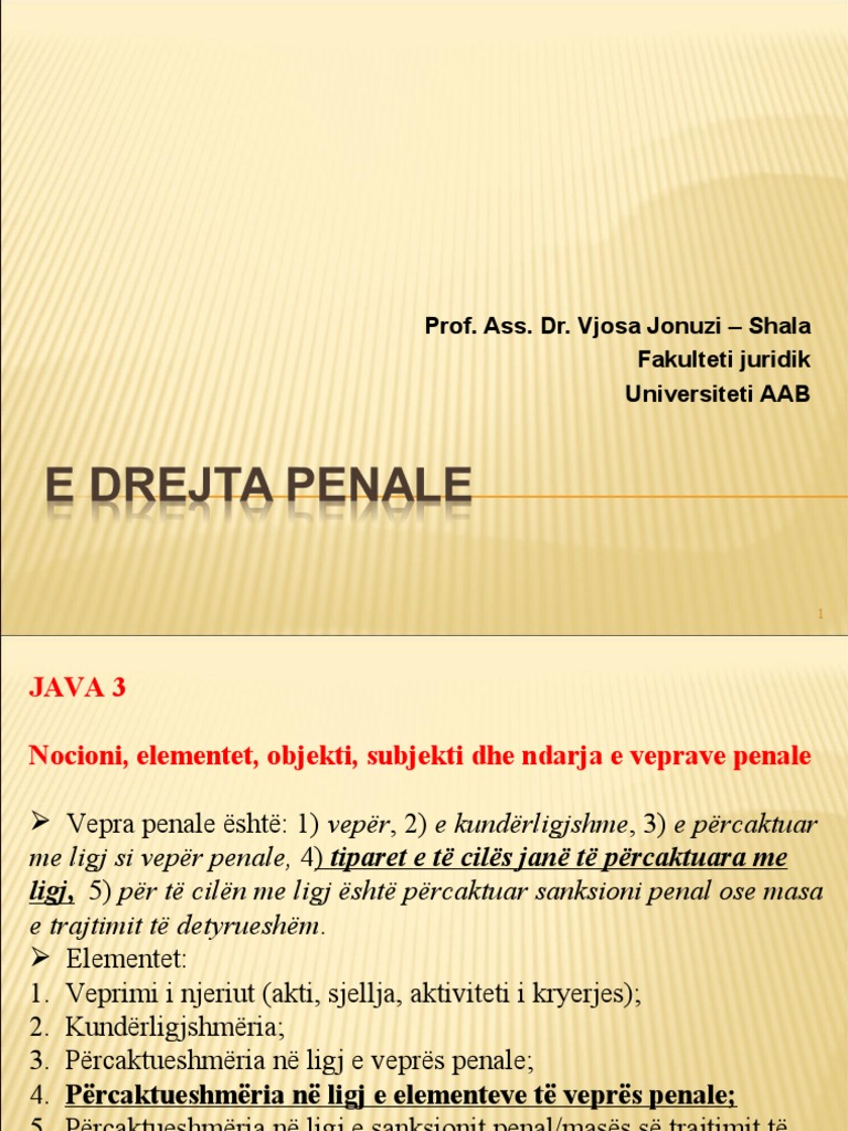 E Drejta Penale | PDF