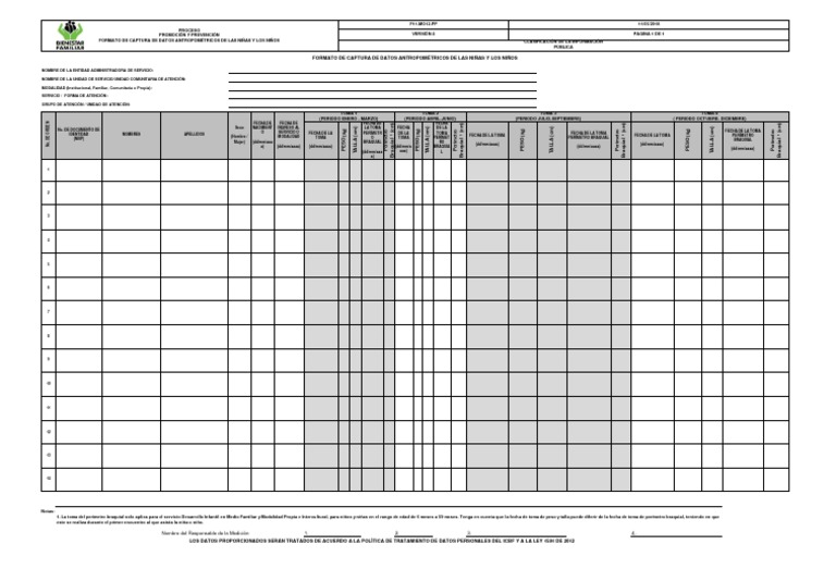 Formato Peso y Talla | PDF