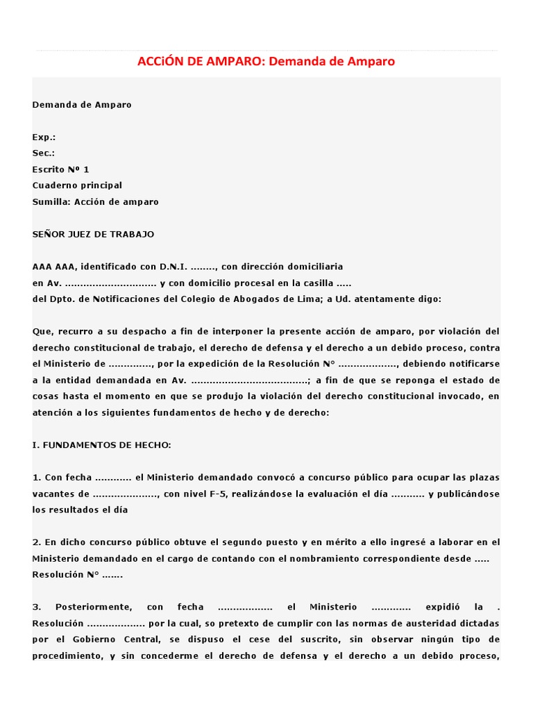 Modelo de Demanda de Amparo. | PDF | Debido al proceso | Ley Pública