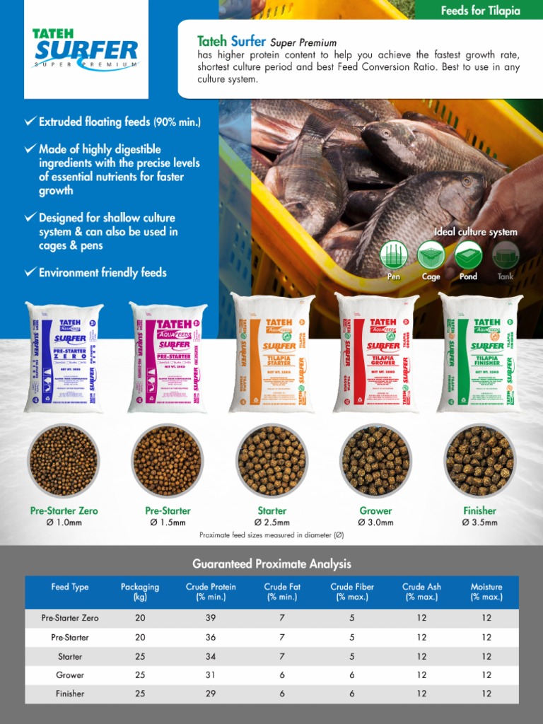 Tilapia Surfer - PDF Brochure - Final | PDF