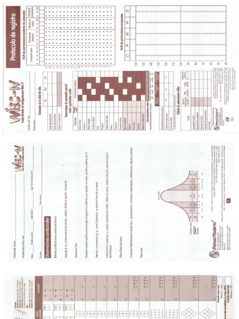Wisc IV Protocolo | PDF