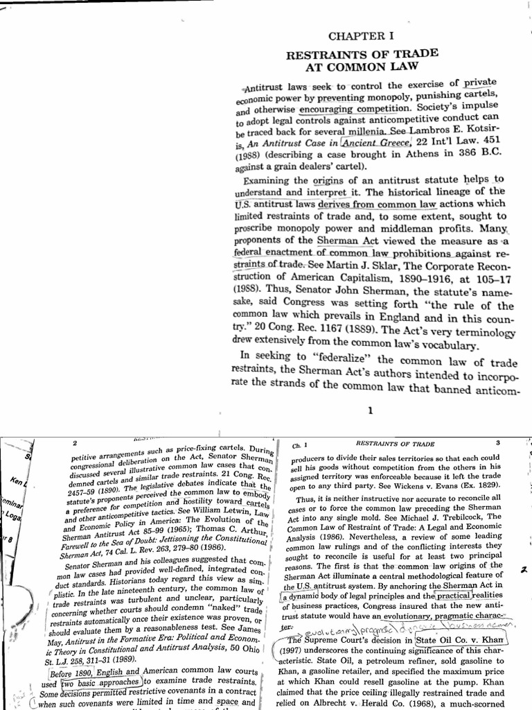 Antitrust Law and Economics | PDF