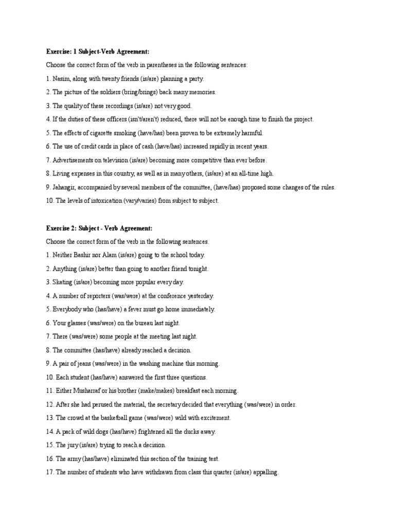 Sva Excercise | PDF | Grammatical Number | Plural