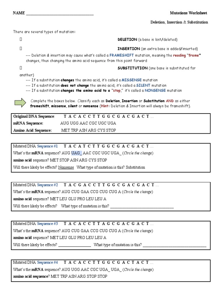 Bio-Worksheet-Mutations | PDF | Point Mutation | Mutation