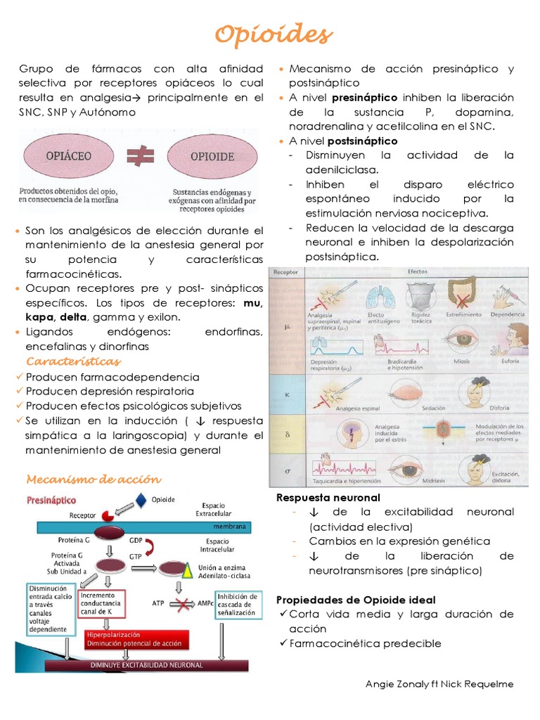 Opioides (Tramadol) | PDF | Sinapsis | Opioide