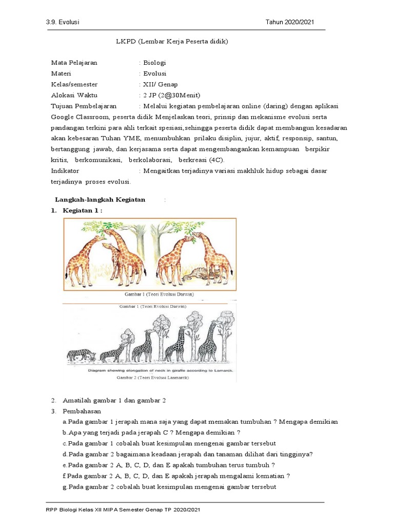 LKPD Evolusi | PDF