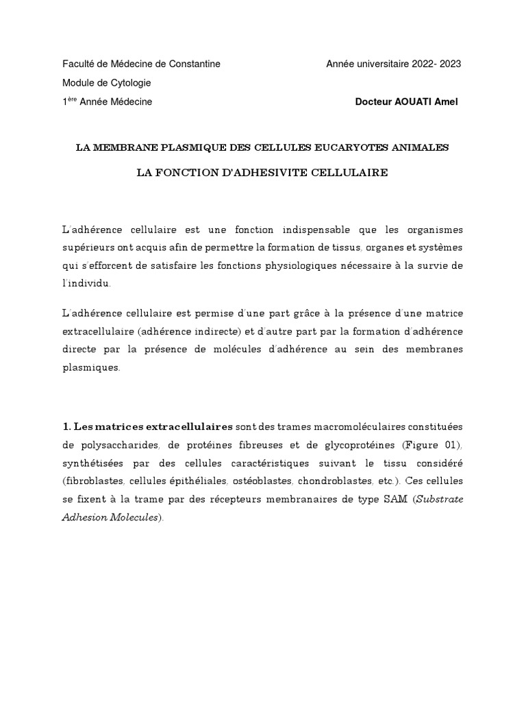 Adhérence cellulaire et occludines | PDF | Membrane cellulaire ...