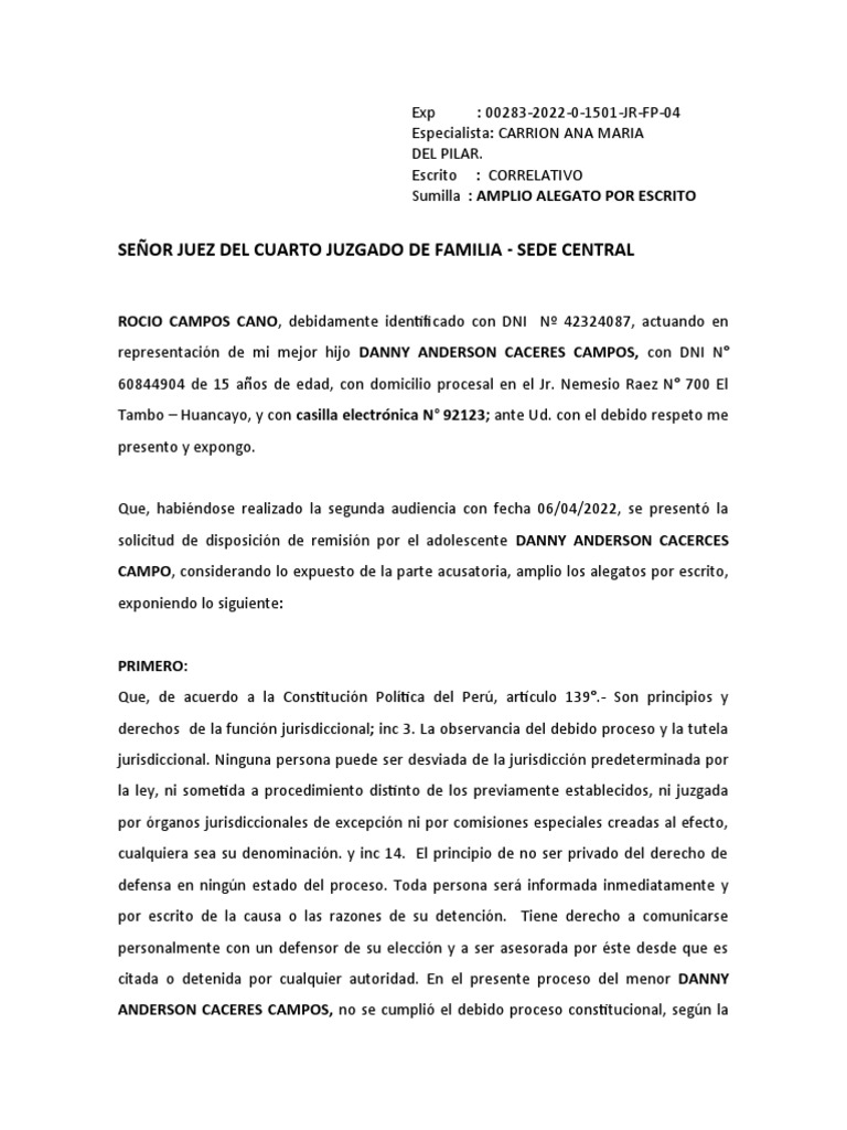 Alegato Por Escrito | PDF | Debido al proceso | Jurisdicción