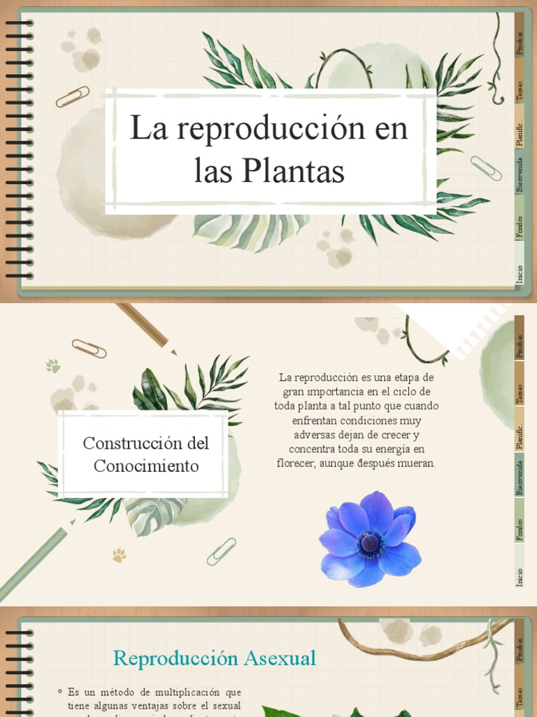 La Reproduccion de Las Plantas | PDF | Reproducción | Plantas