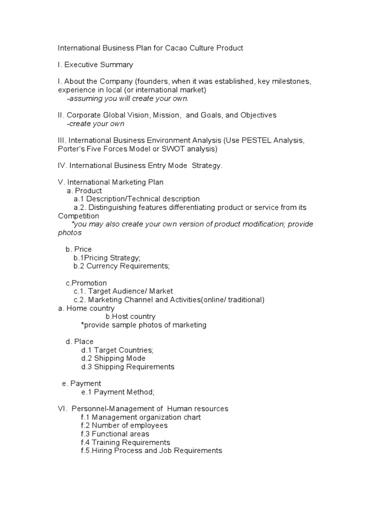 International Business Plan Template | PDF