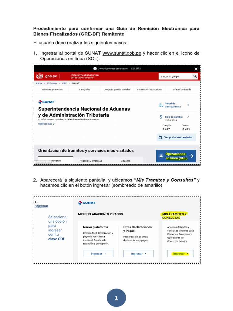 Procedimiento Confirmar Gre BF Remitente | PDF | Software | Informática