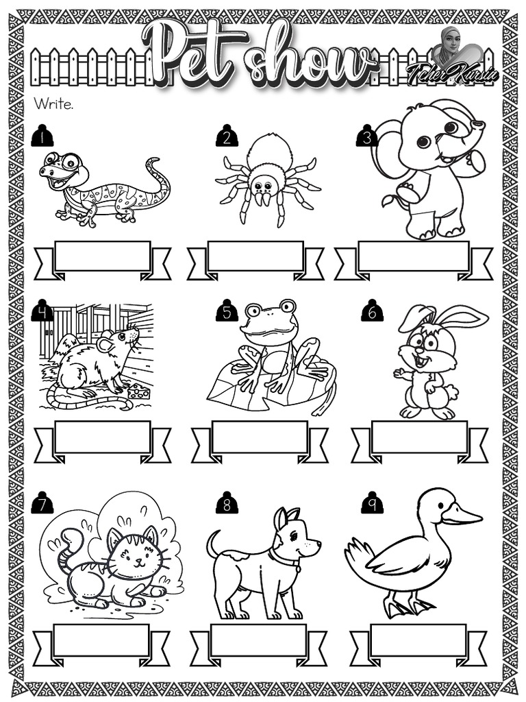 Unit 3 Pet Show Worksheet | PDF