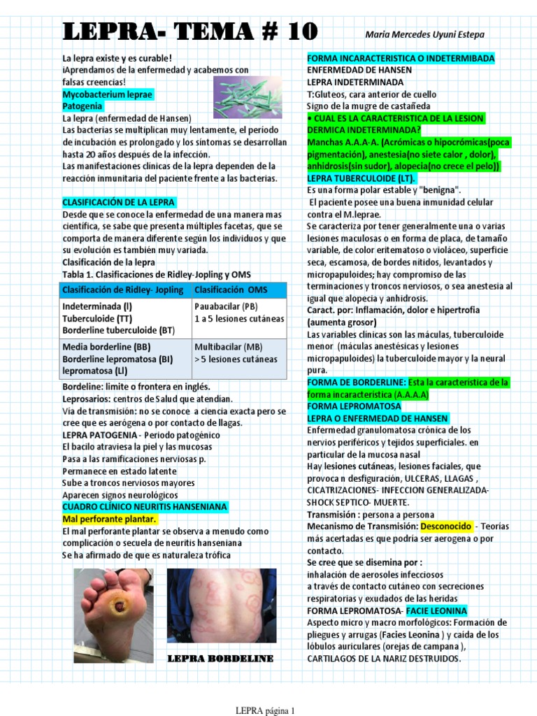 La lepra: mitos, prevención y tratamiento | PDF | Lepra | Infección
