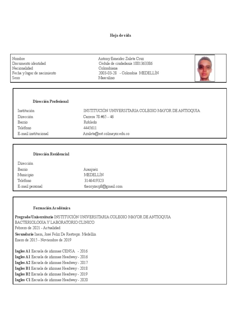 CvLAC - Antony Zuleta | PDF