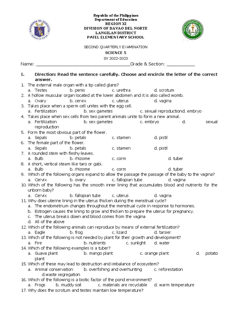 Science 5 Exam With Tos | PDF | Uterus | Fertilisation