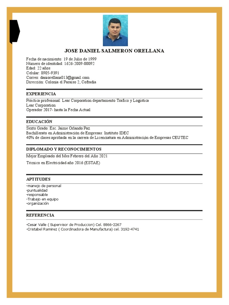 Curriculum Vitae Daniel Salmeron | PDF