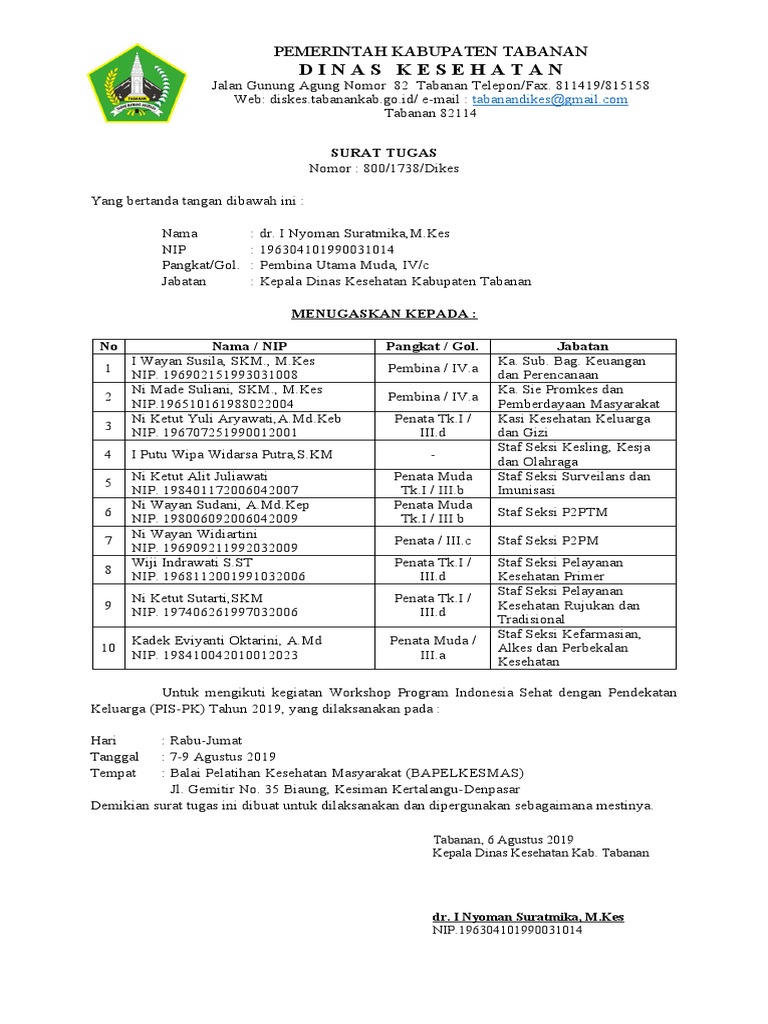 Surat Tugas Workshop PIS-PK (Dinkes) | PDF