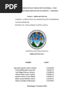 Ejecutor - Guia - 2 Sicaf | PDF | Microsoft Excel | Informática