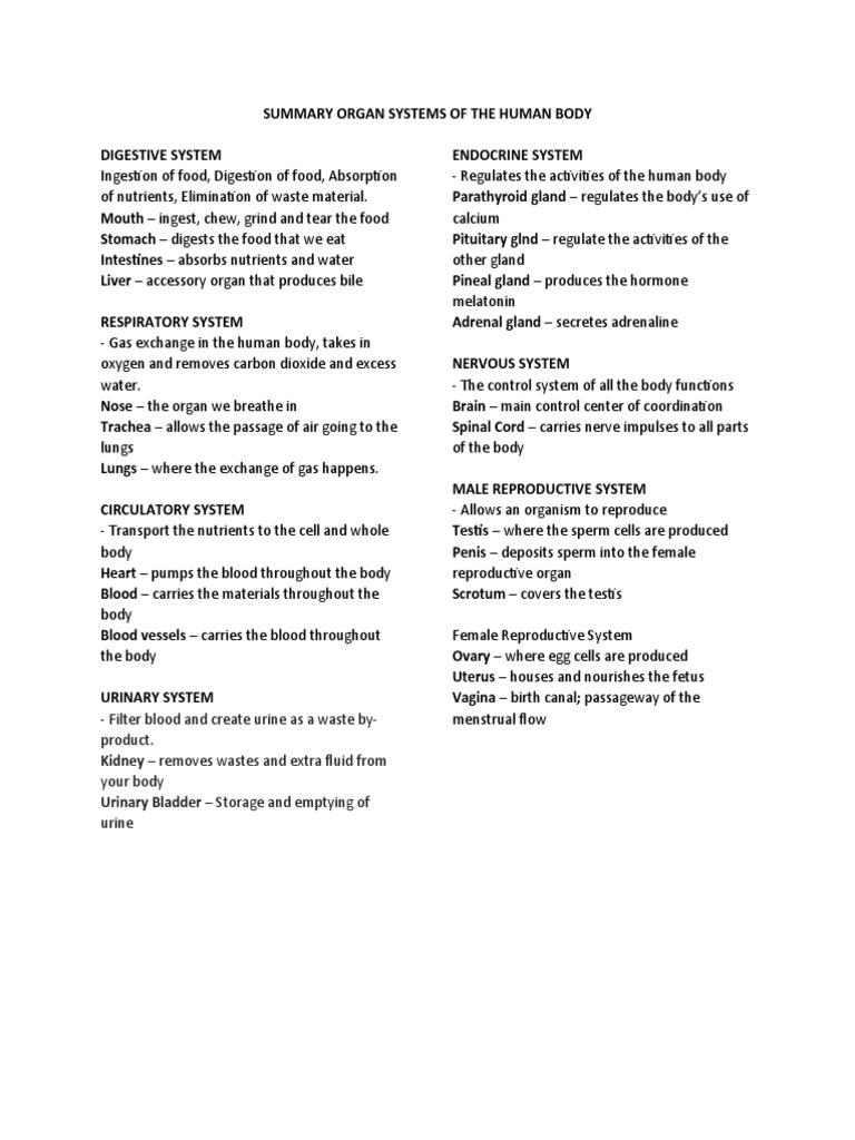 Summary Organ Systems of The Human Body | PDF