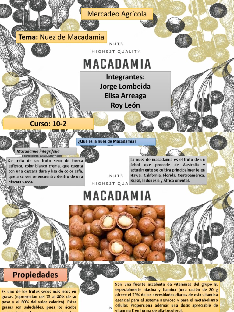 Nuez de Macadamia | PDF | Nuez | Vitamina