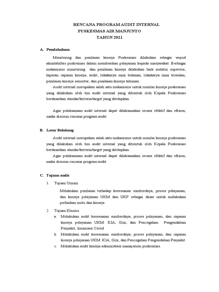 Audit Plan Pdf 4706