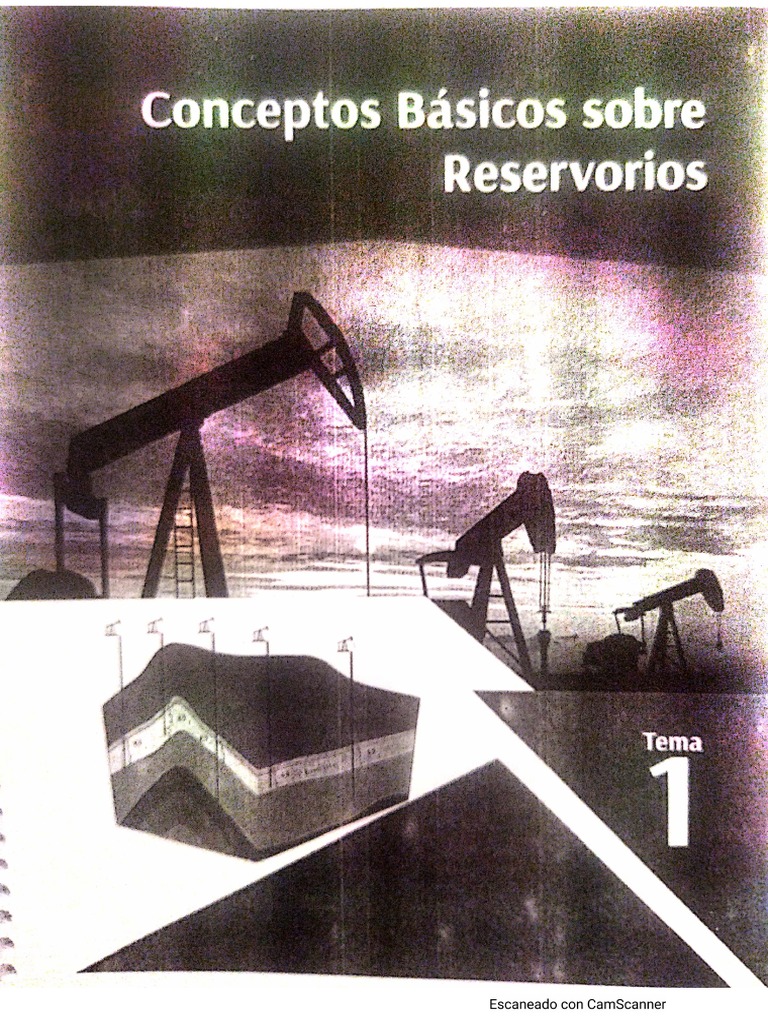 Conceptos Básicos Sobre Reservorios | PDF