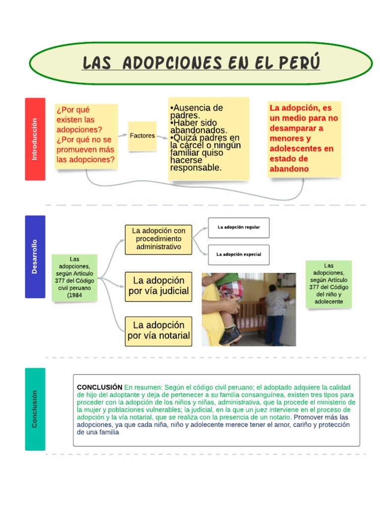 Adopciones en Perú: Tipos y Procedimientos | PDF | Adopción ...