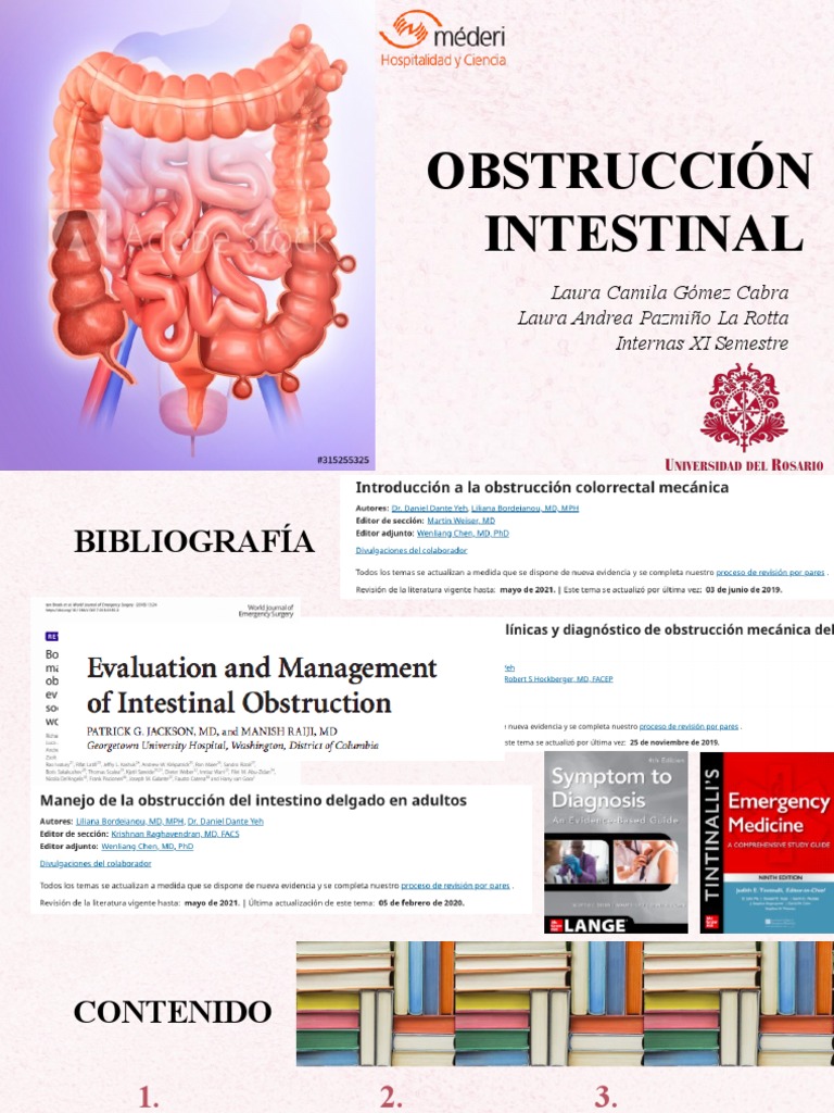 Obstruccion Intestinal | PDF | Abdomen | Isquemia