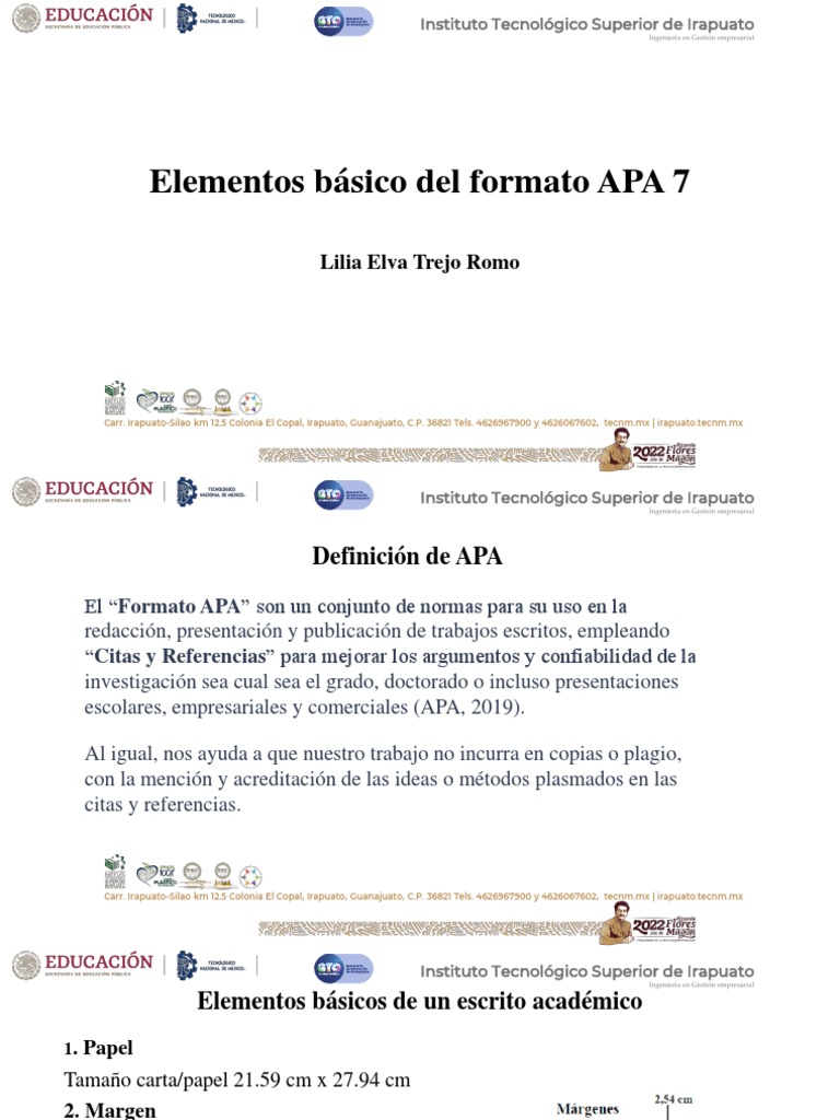 Guía de Formato APA 7 Básico | PDF | Red mundial | Internet y web