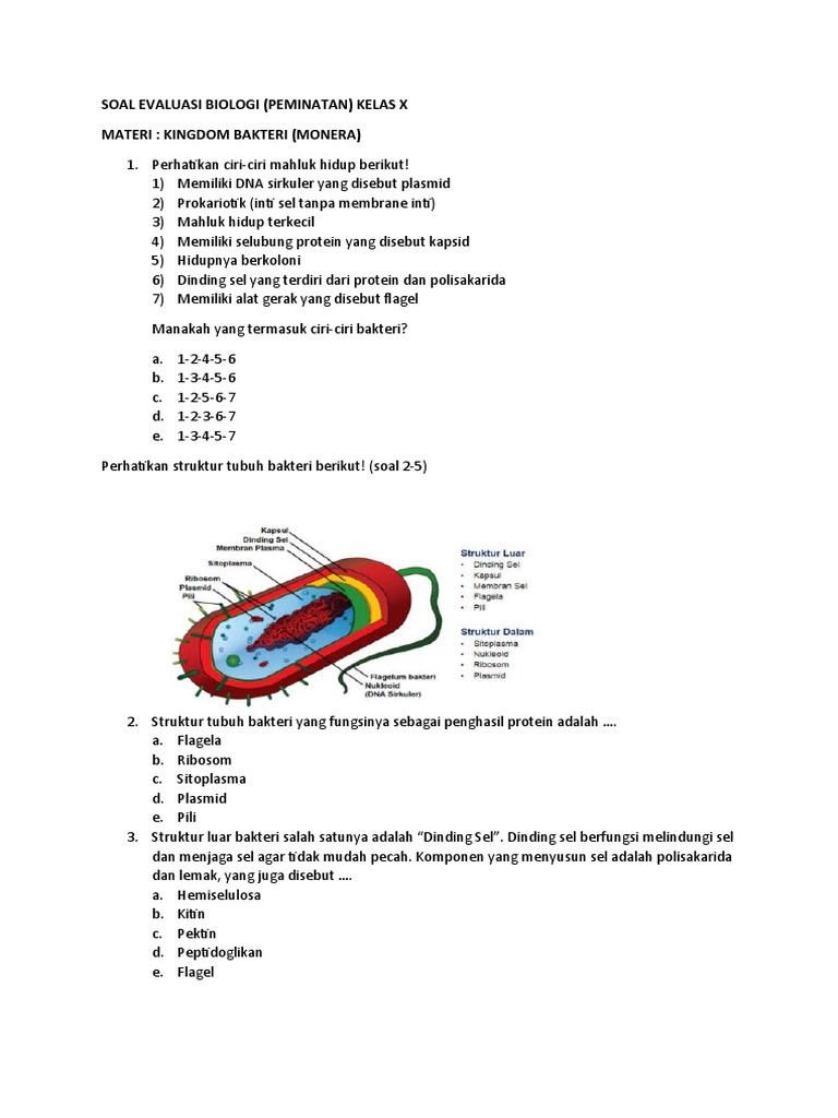 Soal Evaluasi Bakteri | PDF | Sains & Matematika