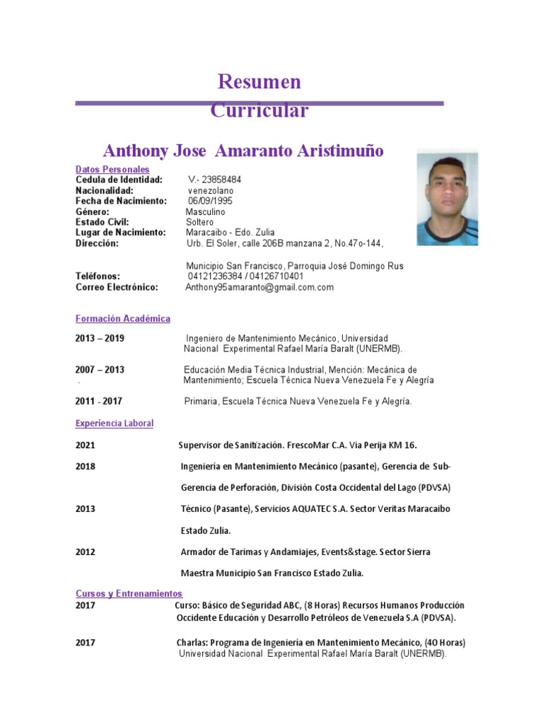 Curriculum Anthony actualizado | PDF