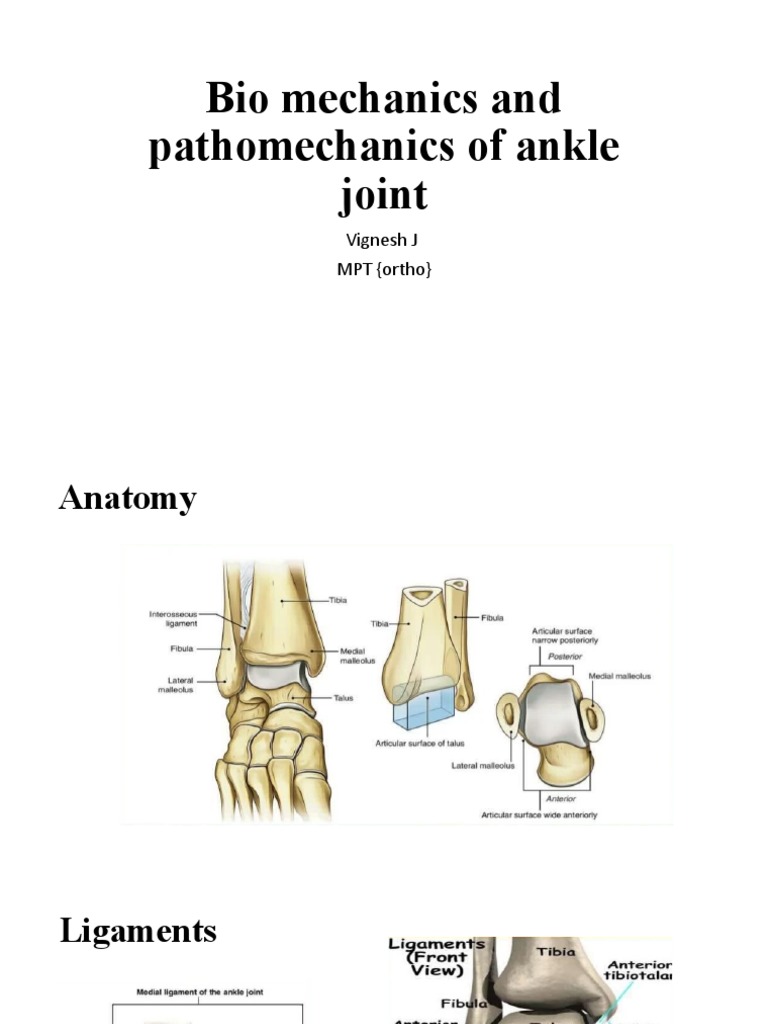 Bio Mechanics and Pathomechanics of Ankle Joint | PDF