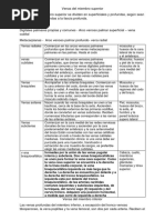 Doppler Venoso Mmii Safena Magna y Parva | PDF | Vena | Sistema ...