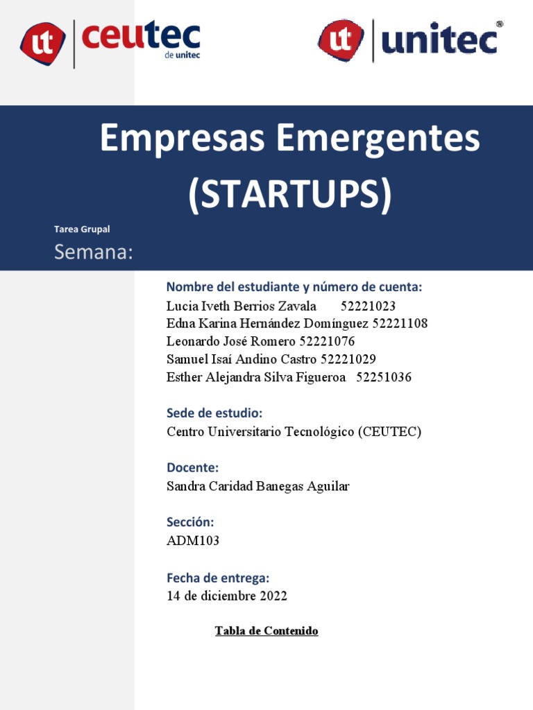 S7-Empresas Emergentes Grupo 5-1 | PDF | Empresa de inicio | Pequeñas ...