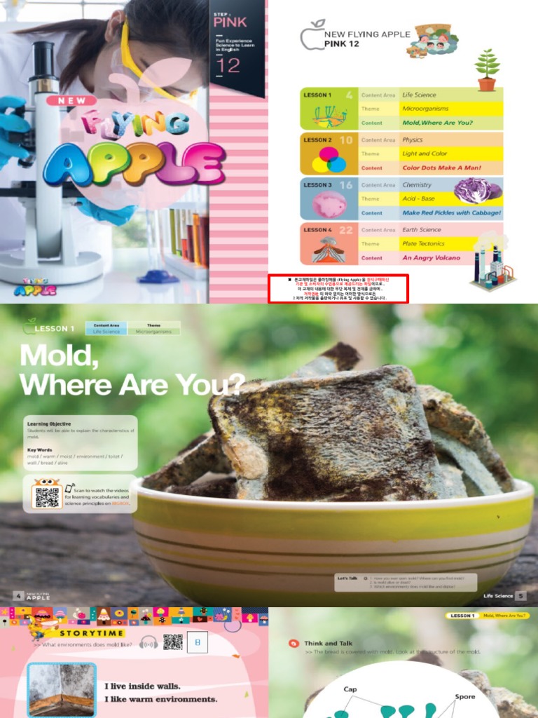 Bbs File Teacher Pink | PDF