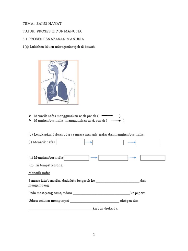 Latihan Proses Hidup Manusia | PDF
