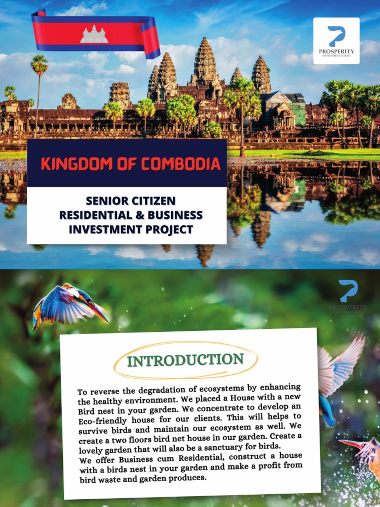Combodia Bird Nest | PDF