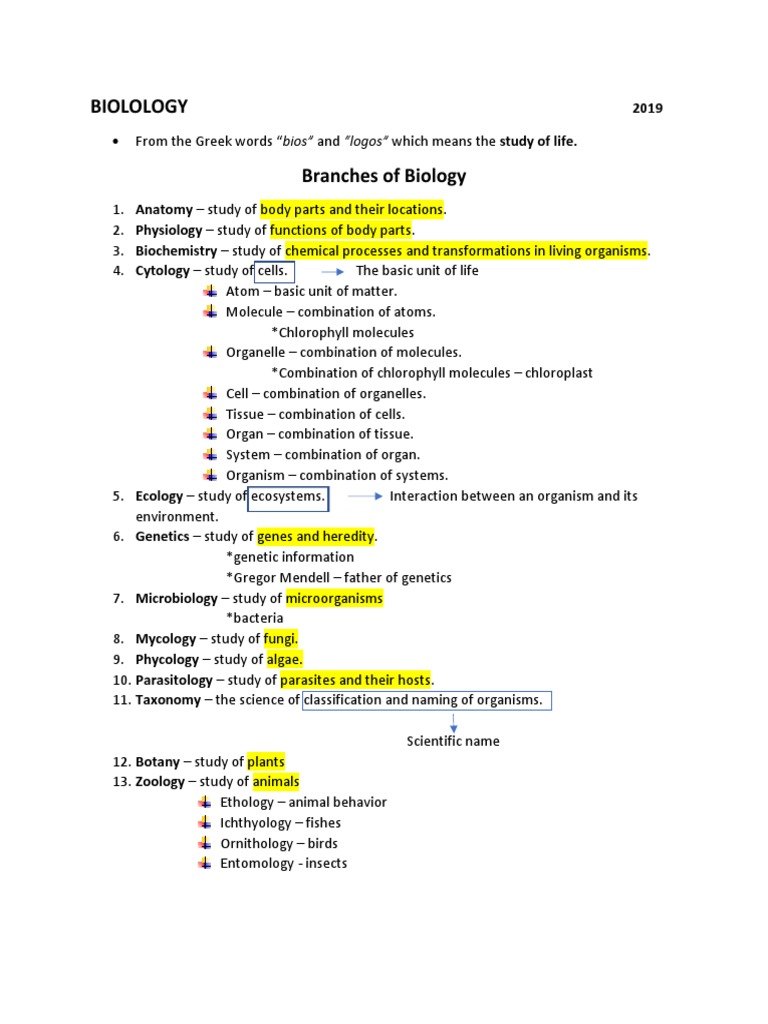Branches of Biology | PDF