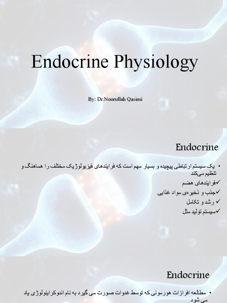 Endocrine Physiology | PDF