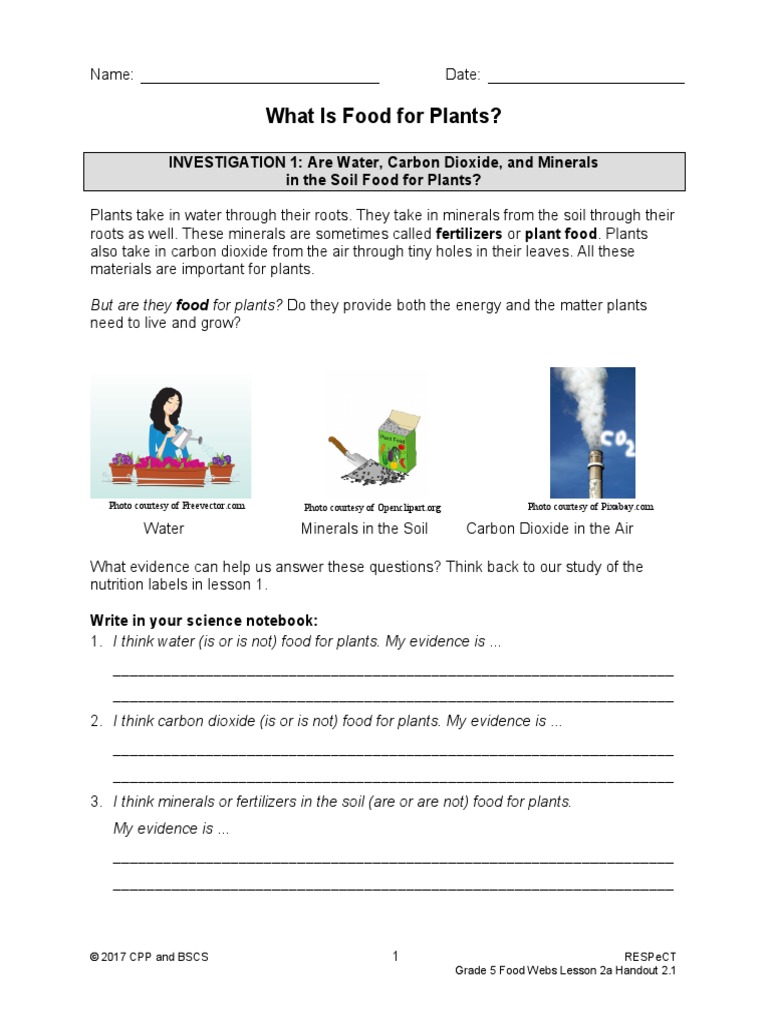 Gr5.Fw Lesson2a Ho2.1 What Is Food For Plants | PDF | Soil | Plants