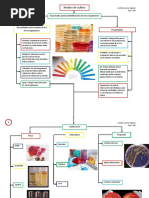 Medio SIM | PDF | Medio de crecimiento | Esterilización (Microbiología)