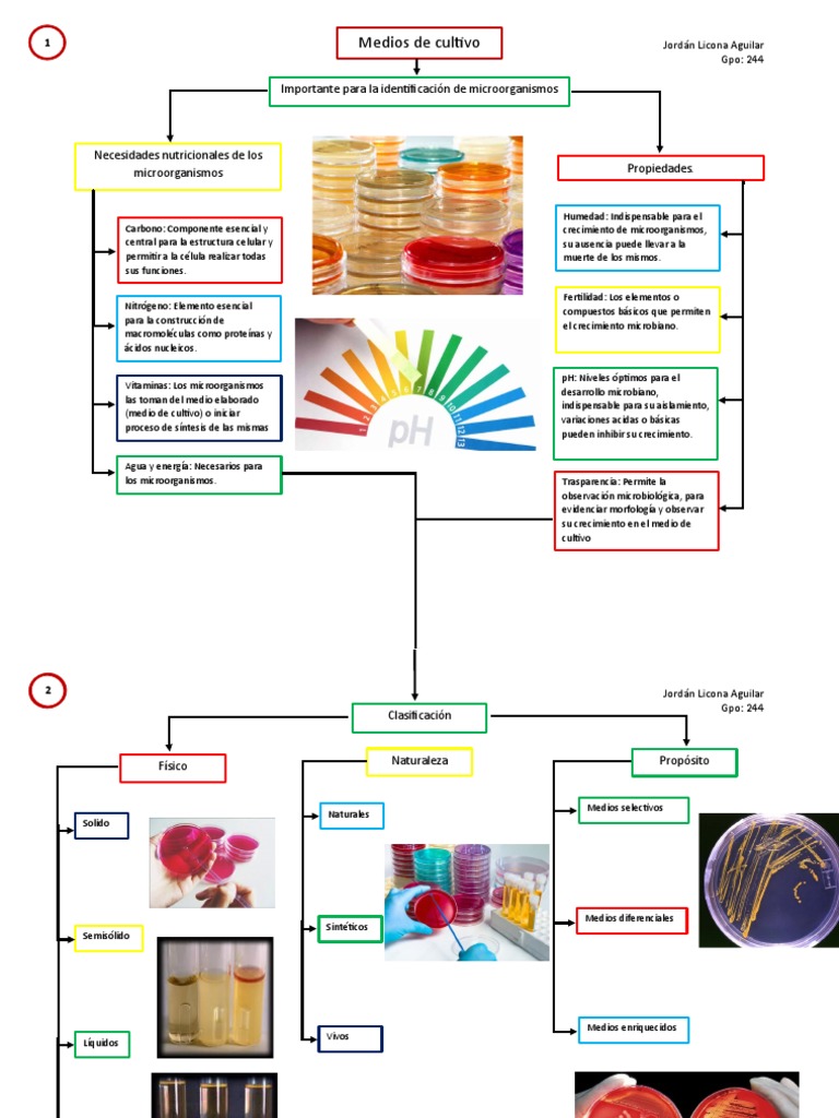 Mapa Medios de Cultivo | PDF | Microbiología | Biología