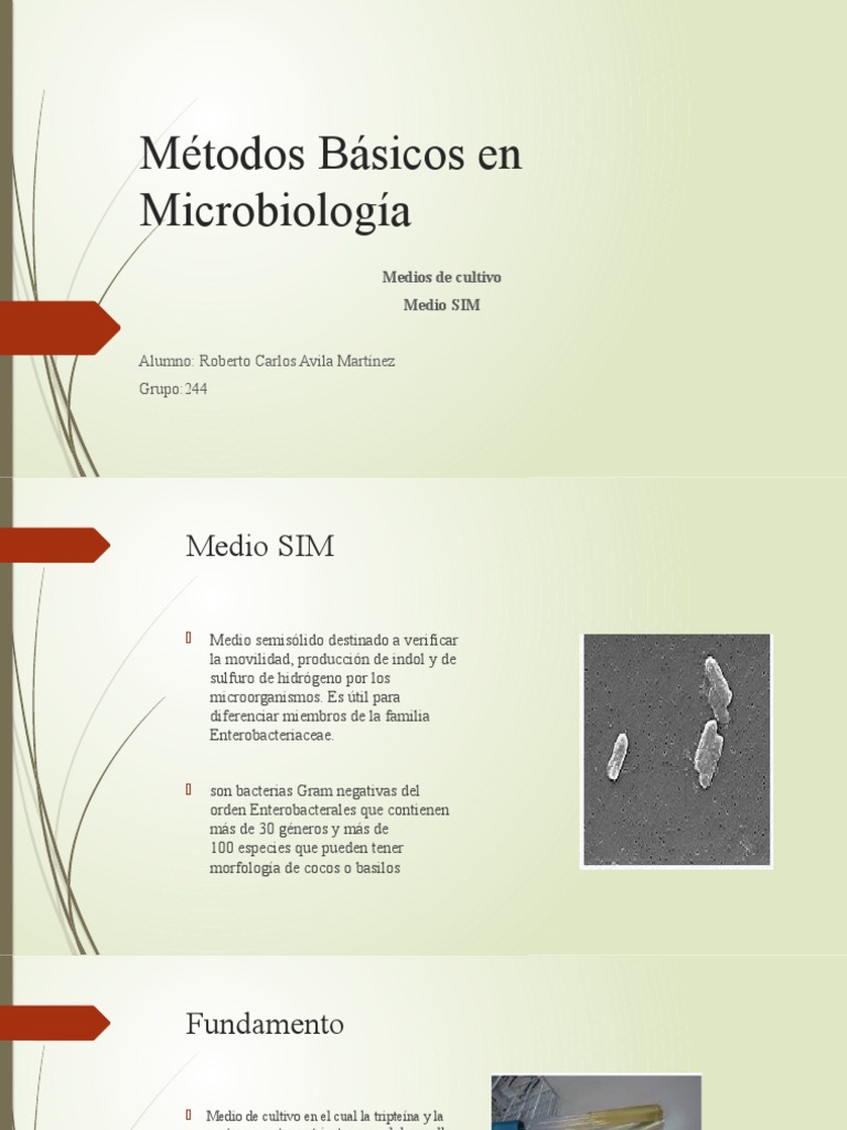 Medio SIM | Descargar gratis PDF | Medio de crecimiento ...