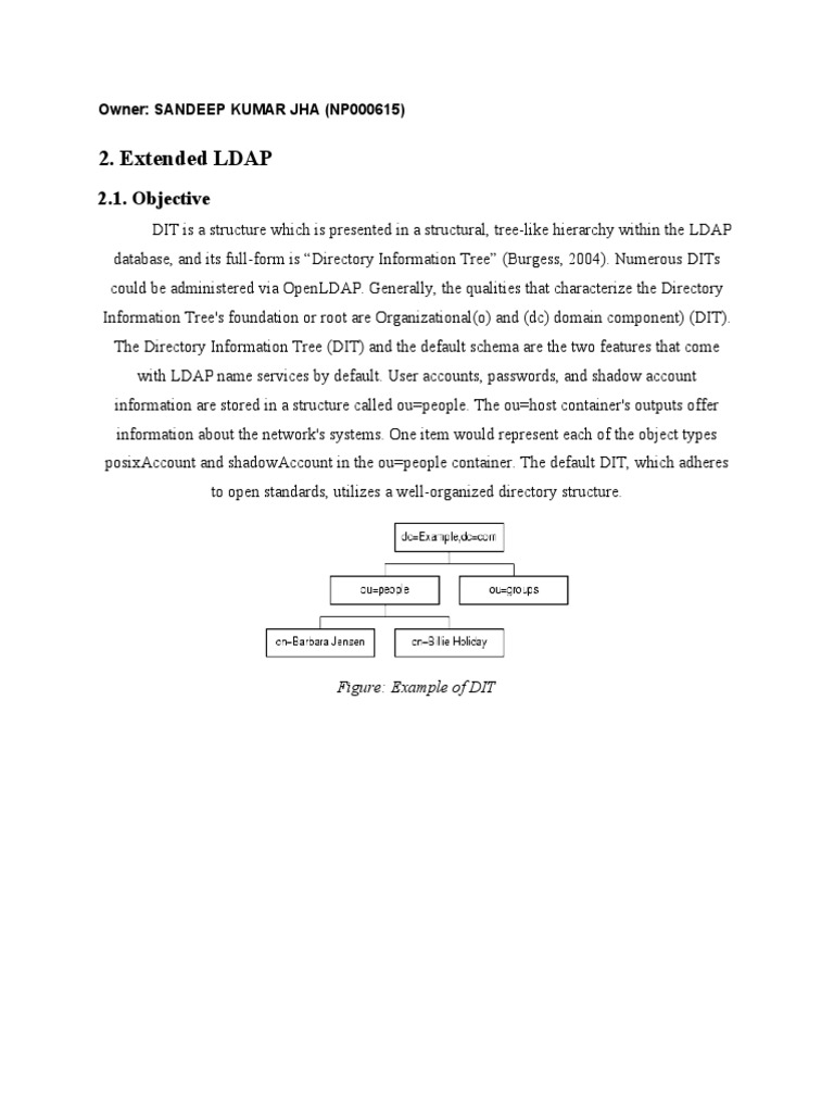NP000615 SNA Group Component | PDF | Networking | Internet & Web