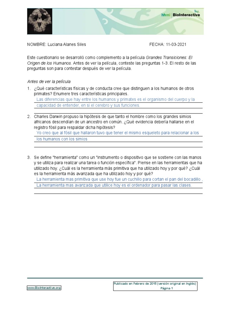 GT-Humans - Student Quiz - Spanish (Projectos) | PDF | Homo Sapiens ...