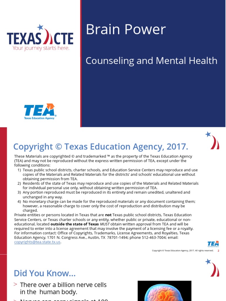 Brain Power | PDF | Nervous System | Neuron