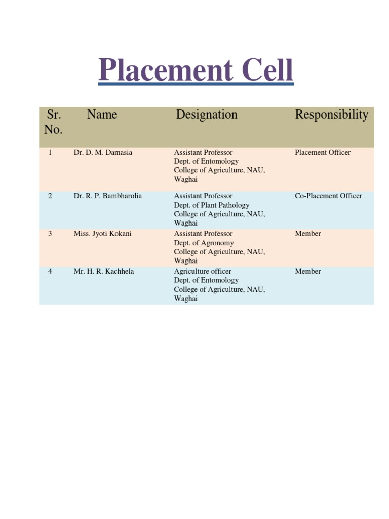 05a87 Placement Cell | PDF