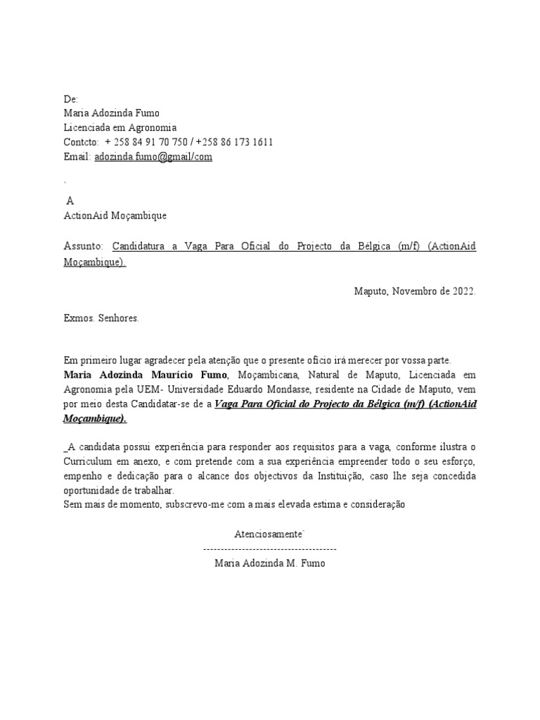 Carta de Candidatura - ActionAid Moçambique | PDF