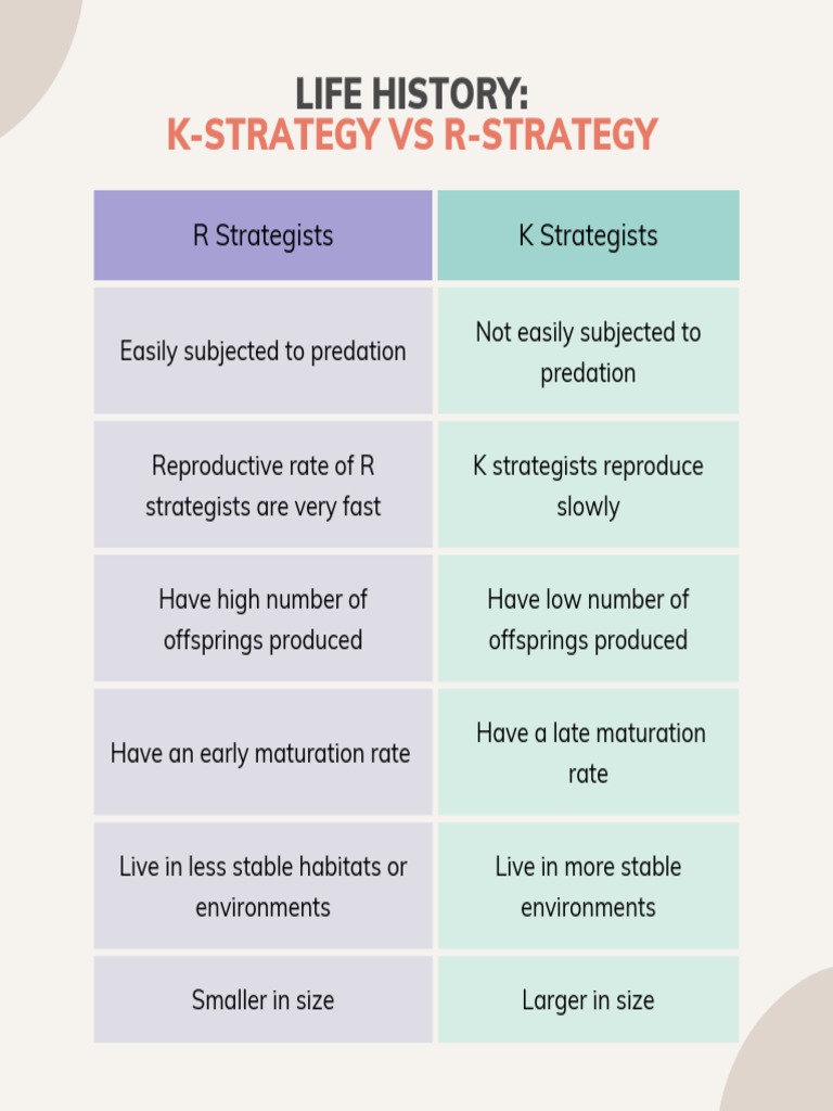 K Strategists Vs R Strategists | PDF