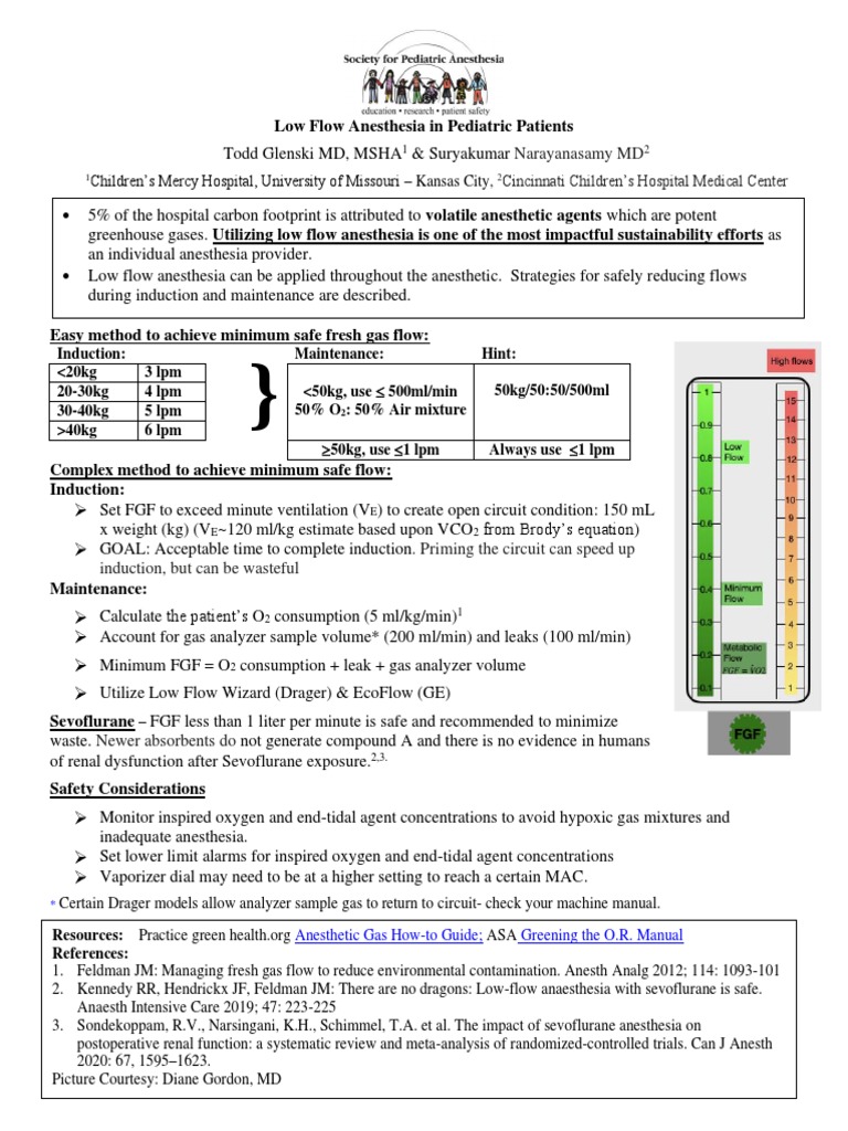 Low Flow Anesthesia in Pediatric Patients | PDF | Anesthesia | Medical ...